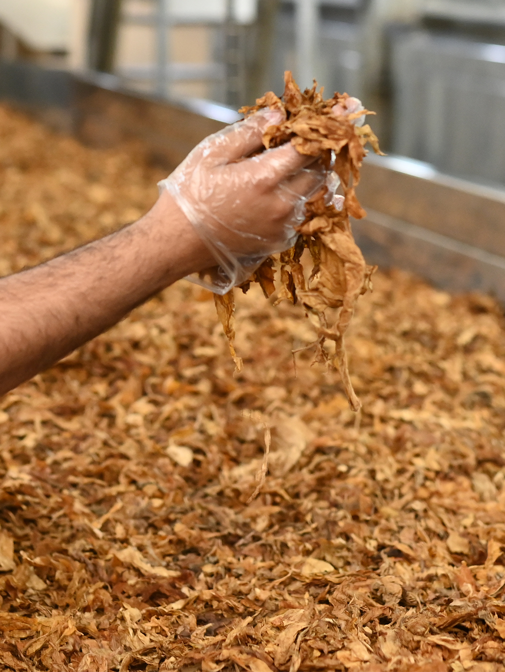 British American Tobacco Germany - Marken und Produkte